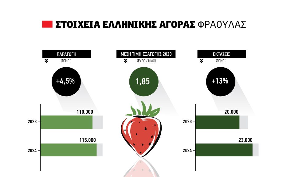 Εκτοπίζει την ισπανική σοδειά η ελληνική φράουλα, αυξημένες 13% οι ...